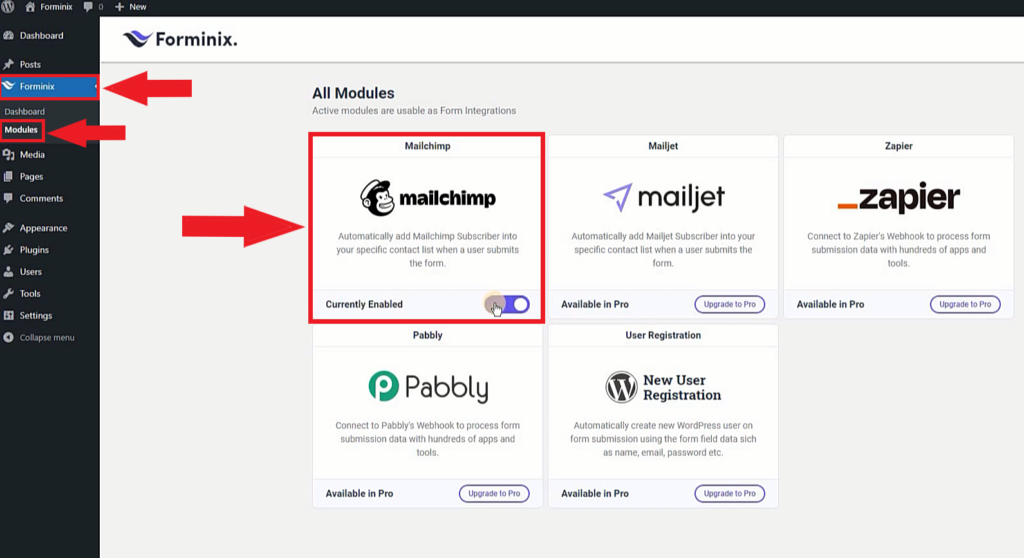 How To Connect Mailchimp With Wordpress Form Forminix